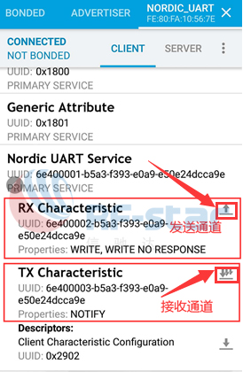 基于Nordic nRF52840 Dongle的快速开发指南_nrf52840开发指南-CSDN博客