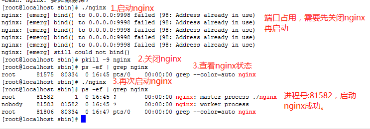 Nginx启动关闭查状态查看nginx运行状态 Csdn博客 