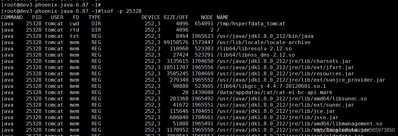 Linux Lsof查看文件数lsof 文件数 Csdn博客