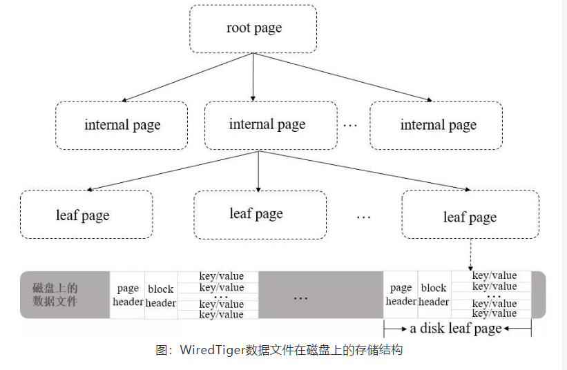 mongodb wiredTiger 存储引擎索引原理的理解总结_mongodb wiredtiger 索引结构_轩辕敬城的博客-CSDN博客