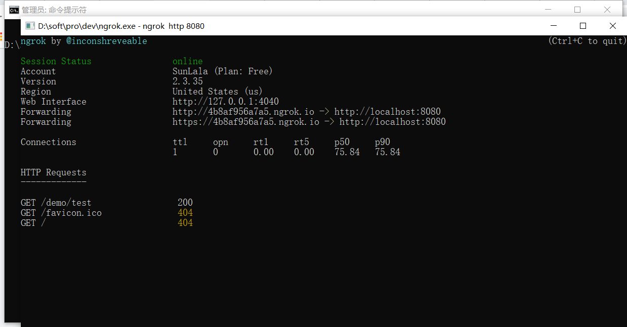 ngrox外网映射-CSDN博客