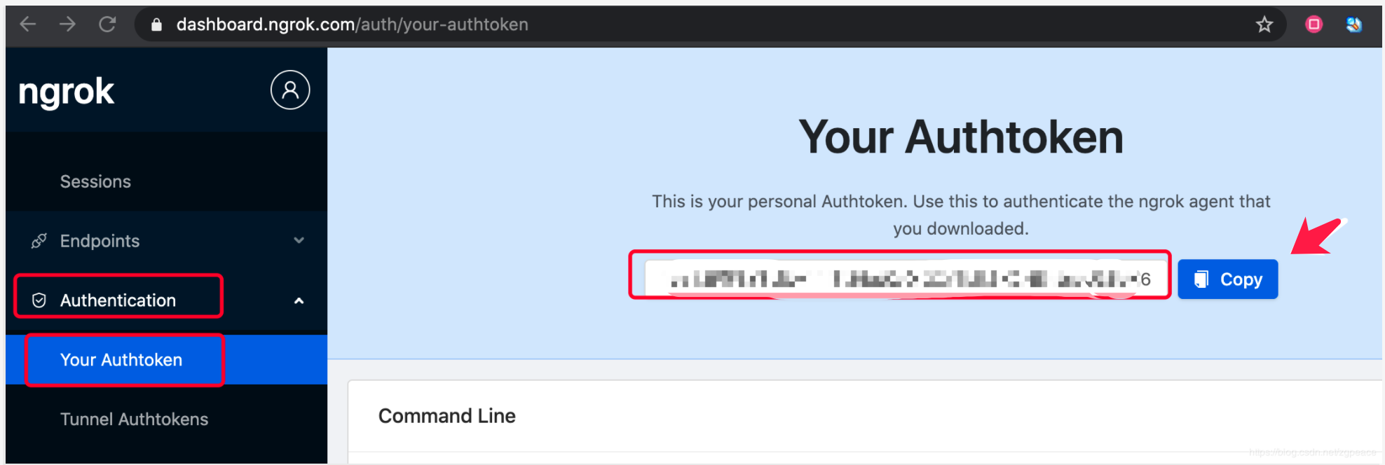 ngrok 通过外网链接映射到本地机器，支持http，https_ngrok - tunnel local ports to public urls and insp-CSDN博客