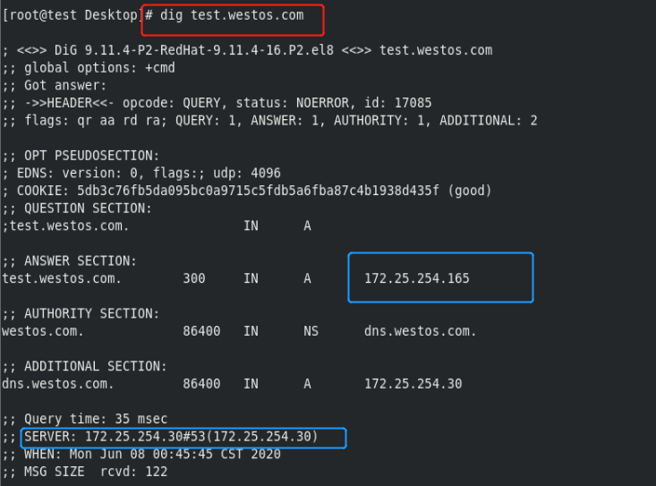 DDNS(DNS+DHCP)的搭建及测试_如何验证开发板支持ddns-CSDN博客