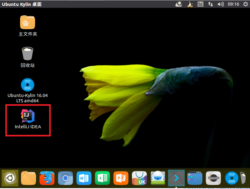 在Ubuntu上安装Intellij IDEA并创建桌面快捷方式_idea创建桌面快捷方式-CSDN博客