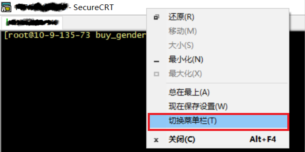How to use the SecureCRT serial port - Programmer Sought