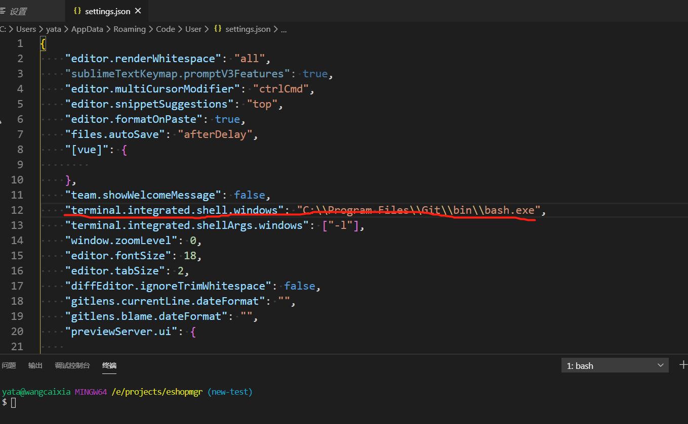 vscode 终端进程命令“C:\Program Files\Git\bin\bash.exe ”无法启动_在vscode中的终端输入program file找不到-CSDN博客
