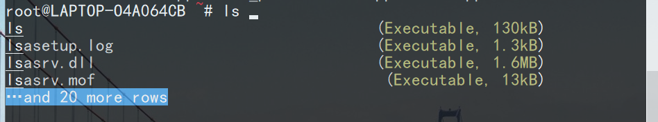 Linux Ubuntu环境的使用及Fish shell_fish退出-CSDN博客