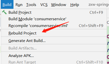 IDEA Spring Boot 项目 application.yml 文件不加载的问题_子项目加载不到application.yml-CSDN博客