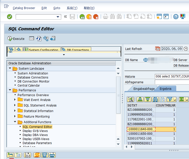 sap直接执行SQL语句查询数据_sap 执行sql语句-CSDN博客