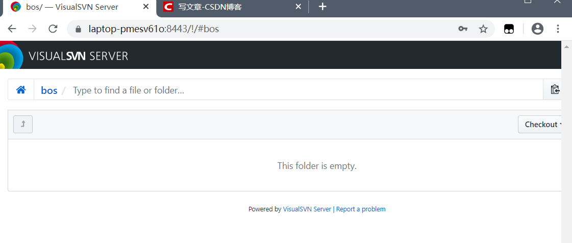 VisualSVN之下载安装&基本操作(一)_visualsvn-5.2.0.msi-CSDN博客