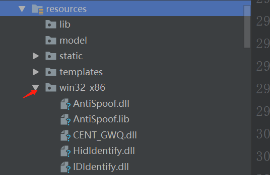 SpringBoot 使用JNA 调用DLL过程以及遇到的问题总结_springboot dll 放哪-CSDN博客