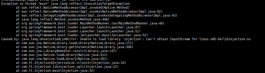 Essays on libinjection (two): use of libinjection dynamic link library ...
