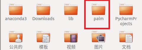 （P1）PALM-4U介绍及其下载安装-CSDN博客