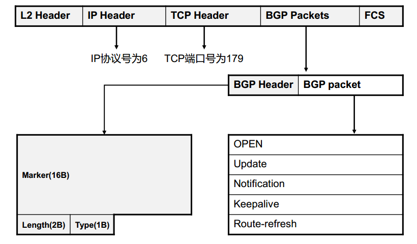 基于FRR全面解析BGP协议（一）：BGP协议基础知识_frr bgp-CSDN博客