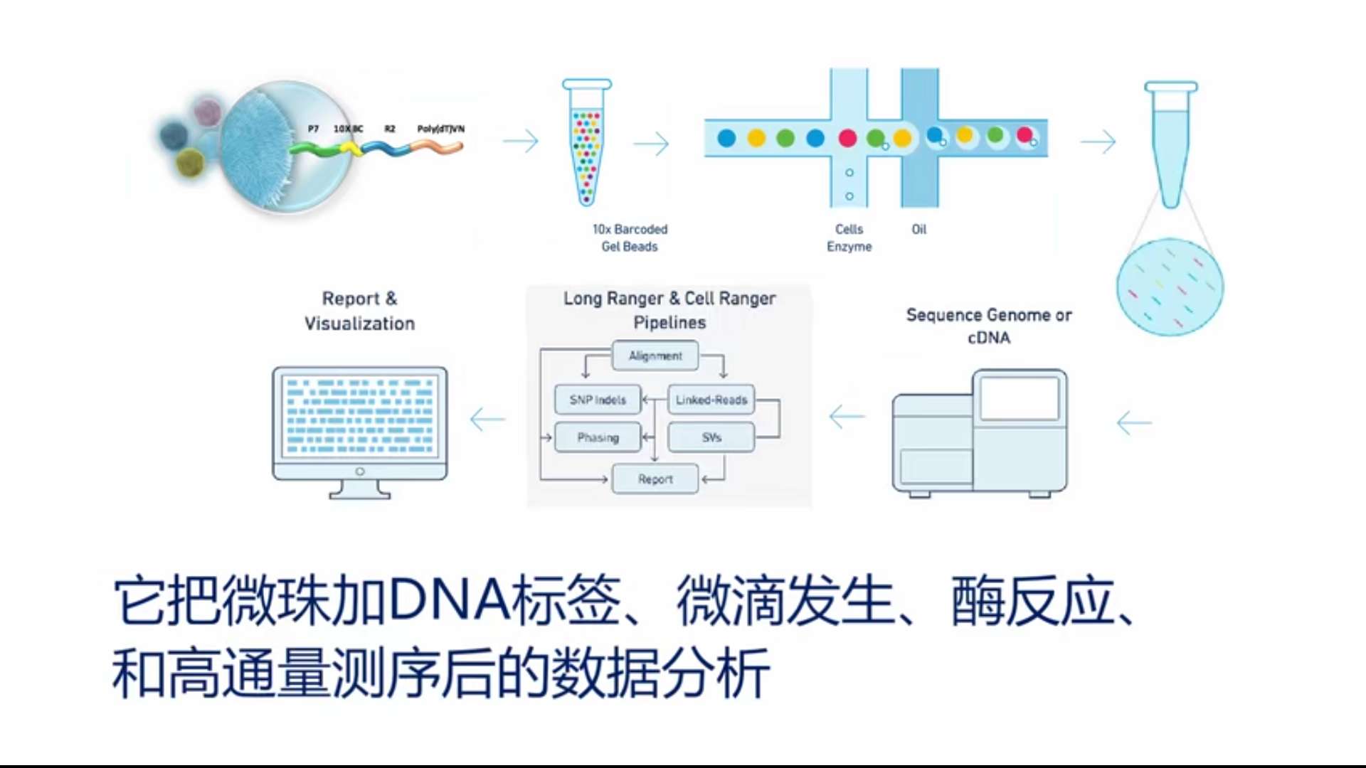 sc-RNA seq与Illumina测序_rna 测序 barcode实现-CSDN博客