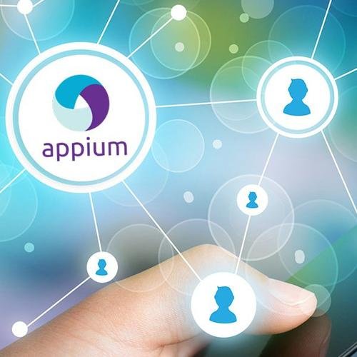 Appium Capabilities各个参数含义automationname Appium含义 Csdn博客 