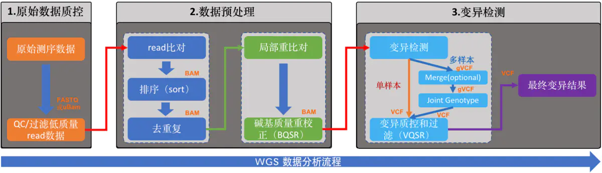 《全基因组测序WGS数据分析——4.构建WGS主流程》学习笔记_浓度低,最大量测序-CSDN博客