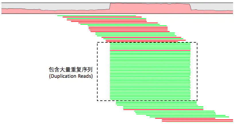 《全基因组测序WGS数据分析——4.构建WGS主流程》学习笔记_浓度低,最大量测序-CSDN博客