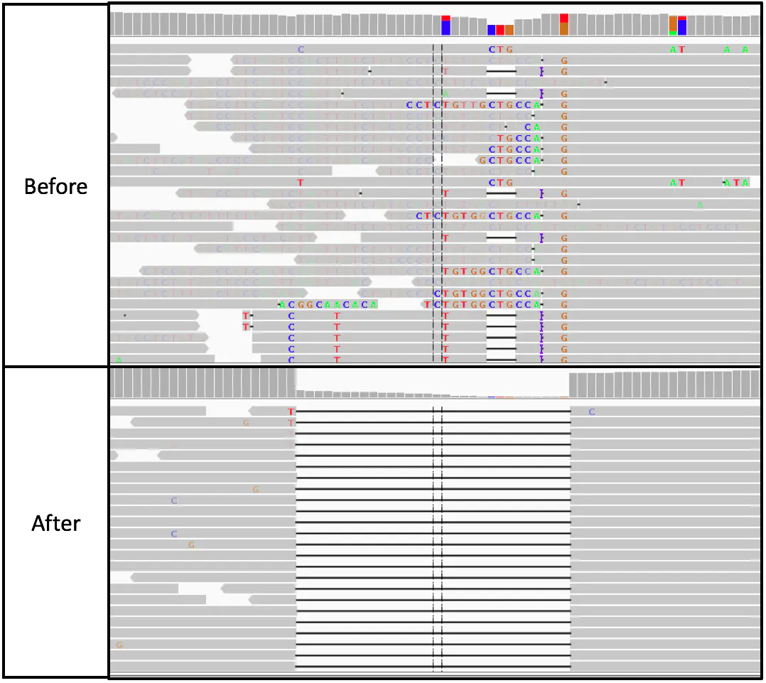 《全基因组测序WGS数据分析——4.构建WGS主流程》学习笔记_浓度低,最大量测序-CSDN博客