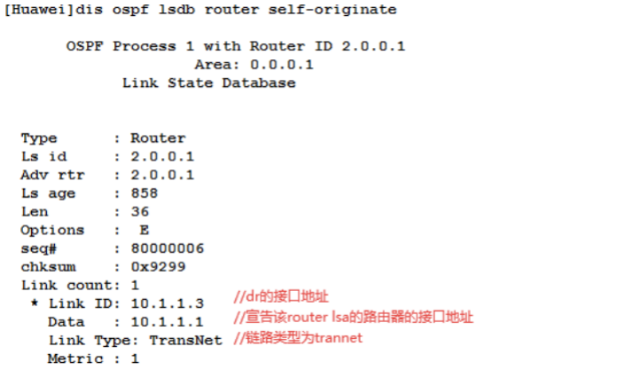ospf状态机及五类lsa实验抓包详解-CSDN博客