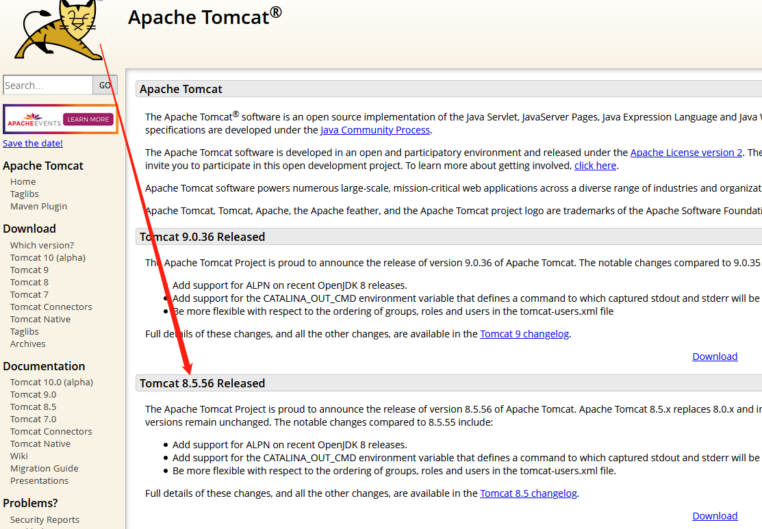 Linux安装tomcat-CSDN博客