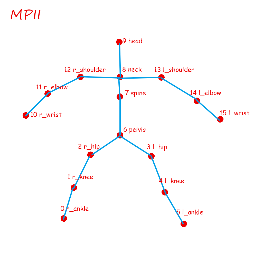 人体骨架关节 MPII HUMAN3.6m NTU SMPL_mntu-CSDN博客