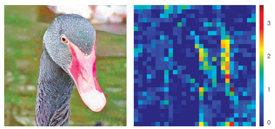 论文解读: | (CVPR2019)《Feature Denoising for Improving Adversarial Robustness》_manifold-aware ...