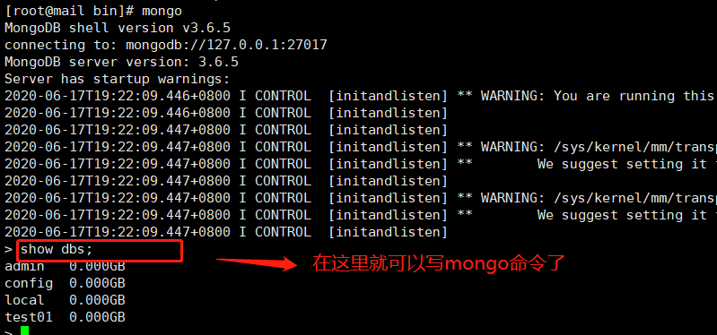 Linux安装部署MongoDB 3.6（十步完成安装和使用）-CSDN博客