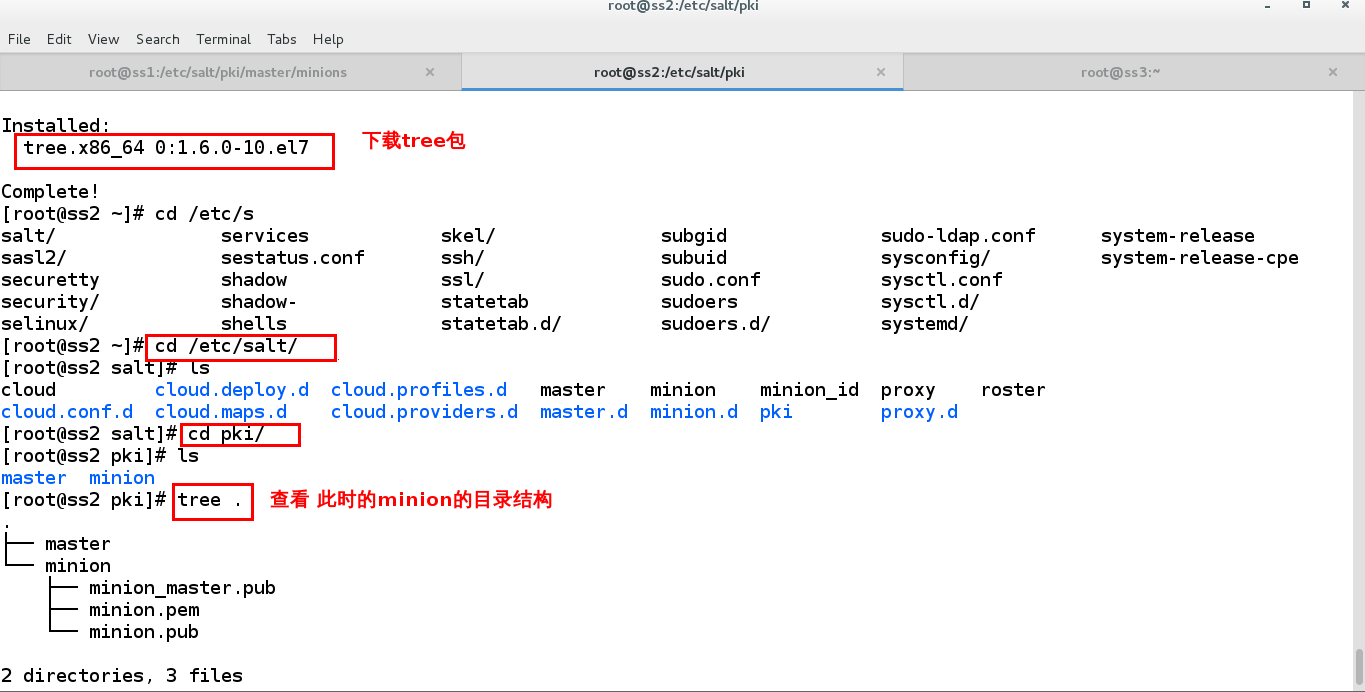 linux企业实战 --SaltStack(一) 安装部署 && 远程连接_saltstack服务端和客户端的连接。-CSDN博客