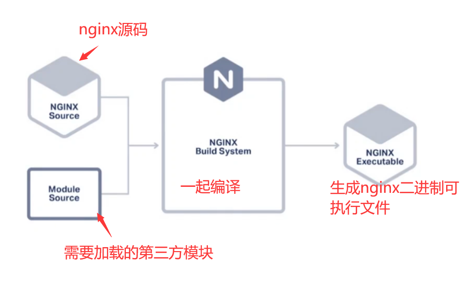 nginx加载动态模块_nginx集成.so动态库-CSDN博客