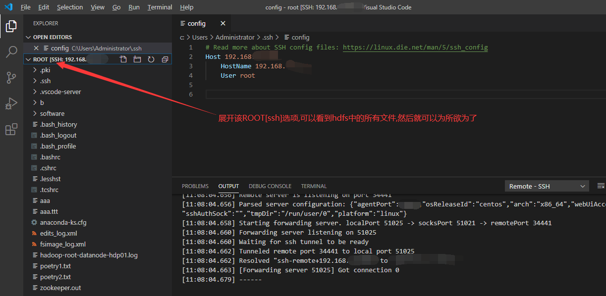 使用vscode远程连接hdfs(linux系统上搭建的hdfs)_vscode如何链接hdfs-CSDN博客