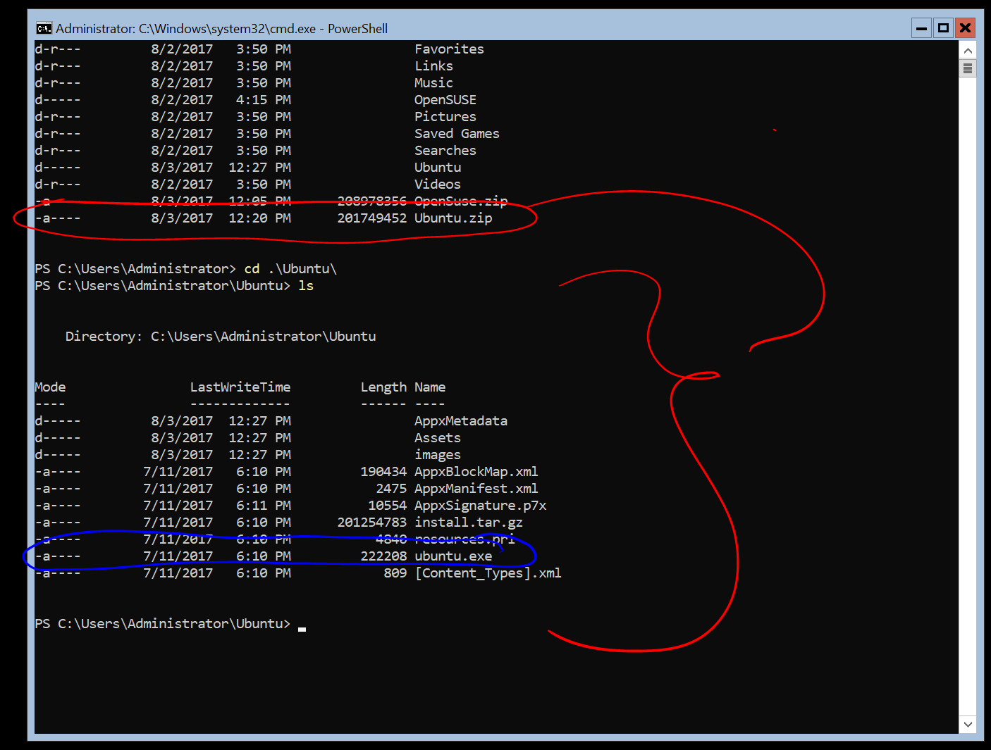 WSL使用史上最详细教程-CSDN博客