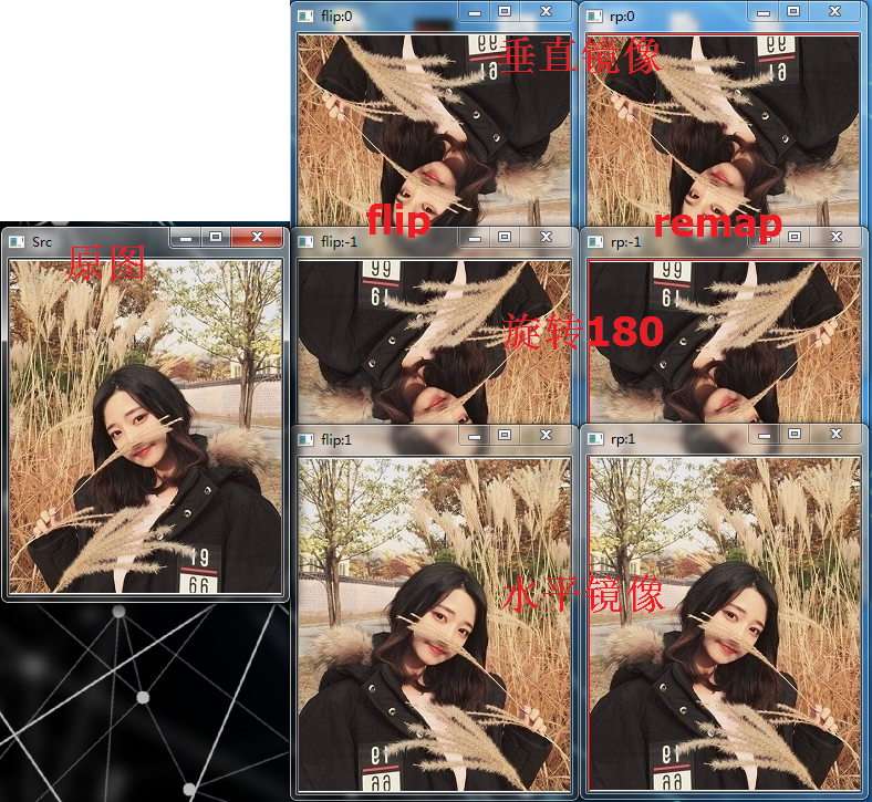 Opencv图片旋转,镜像(remap,flip,transpose)_opencv用remap实现旋转-CSDN博客