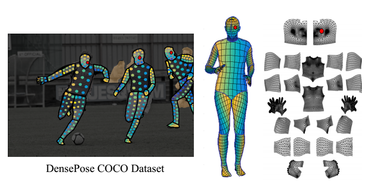 detectron2及DensePose工程实现上的概括_detectron2 densepose-CSDN博客