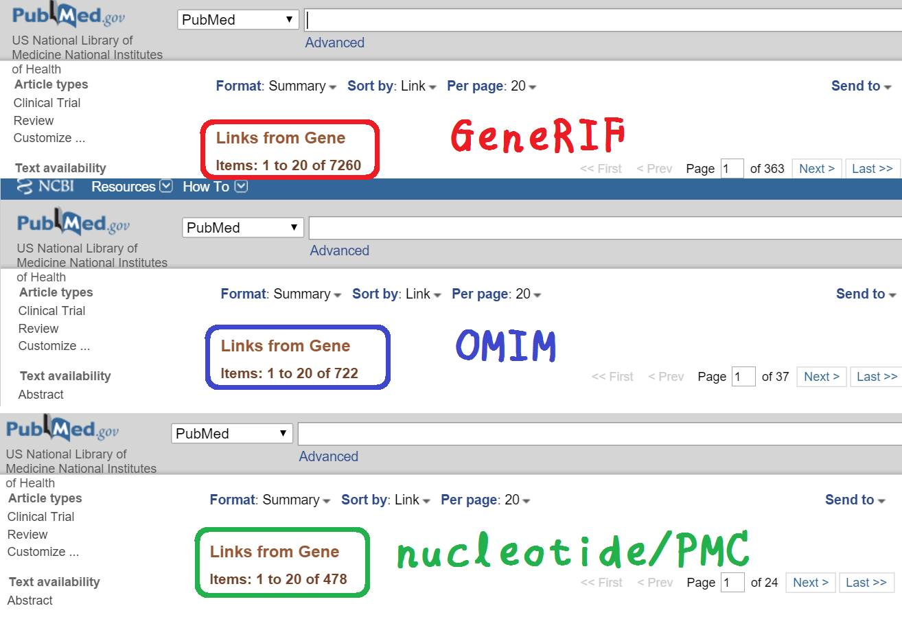 pubmed搜索基因的小技巧_pubmed gene-CSDN博客