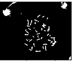 cv2.connectedComponentsWithStats()_cv2.connectedcomponentswithstats找到的第一个连通域是整张图片-CSDN博客