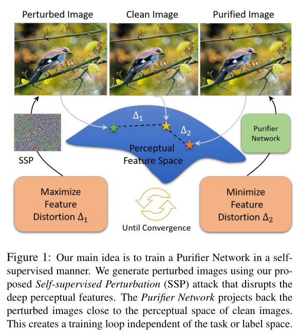 【论文阅读】A Self-supervised Approach for Adversarial Robustness#CVPR2020-CSDN博客