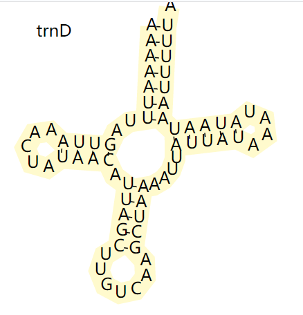 Perl : 线粒体tRNA二级结构的美化（mitos2）_mitos二级结构-CSDN博客