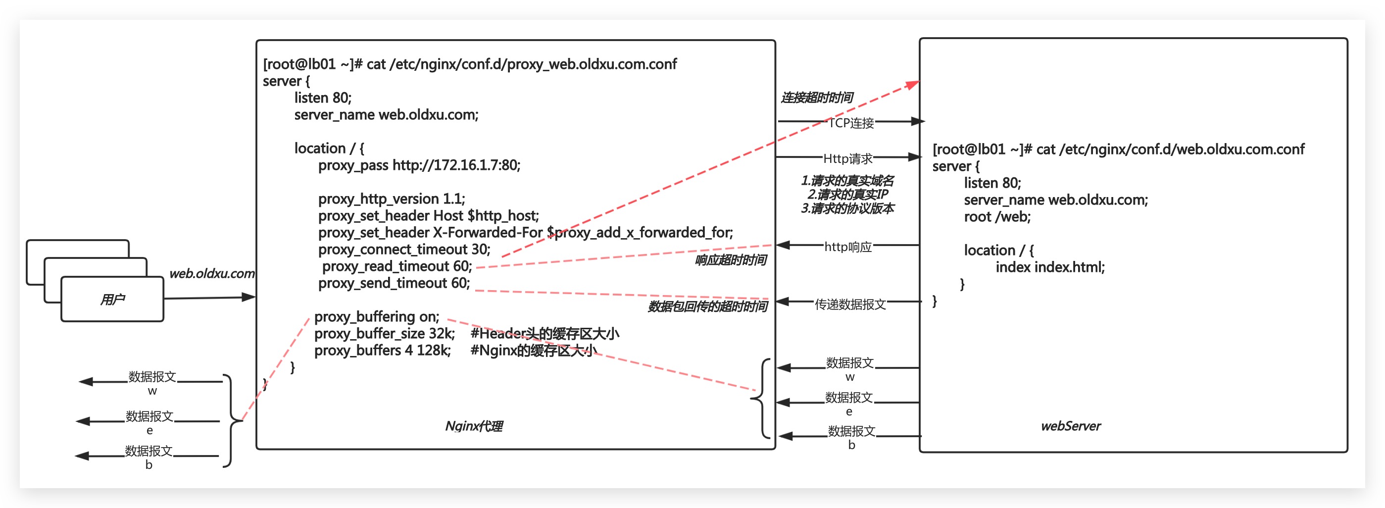 42. Nginx扩展多个WEB节点 | nginx反向代理_nginx 一个server虚拟机中配置访问两个web页面-CSDN博客