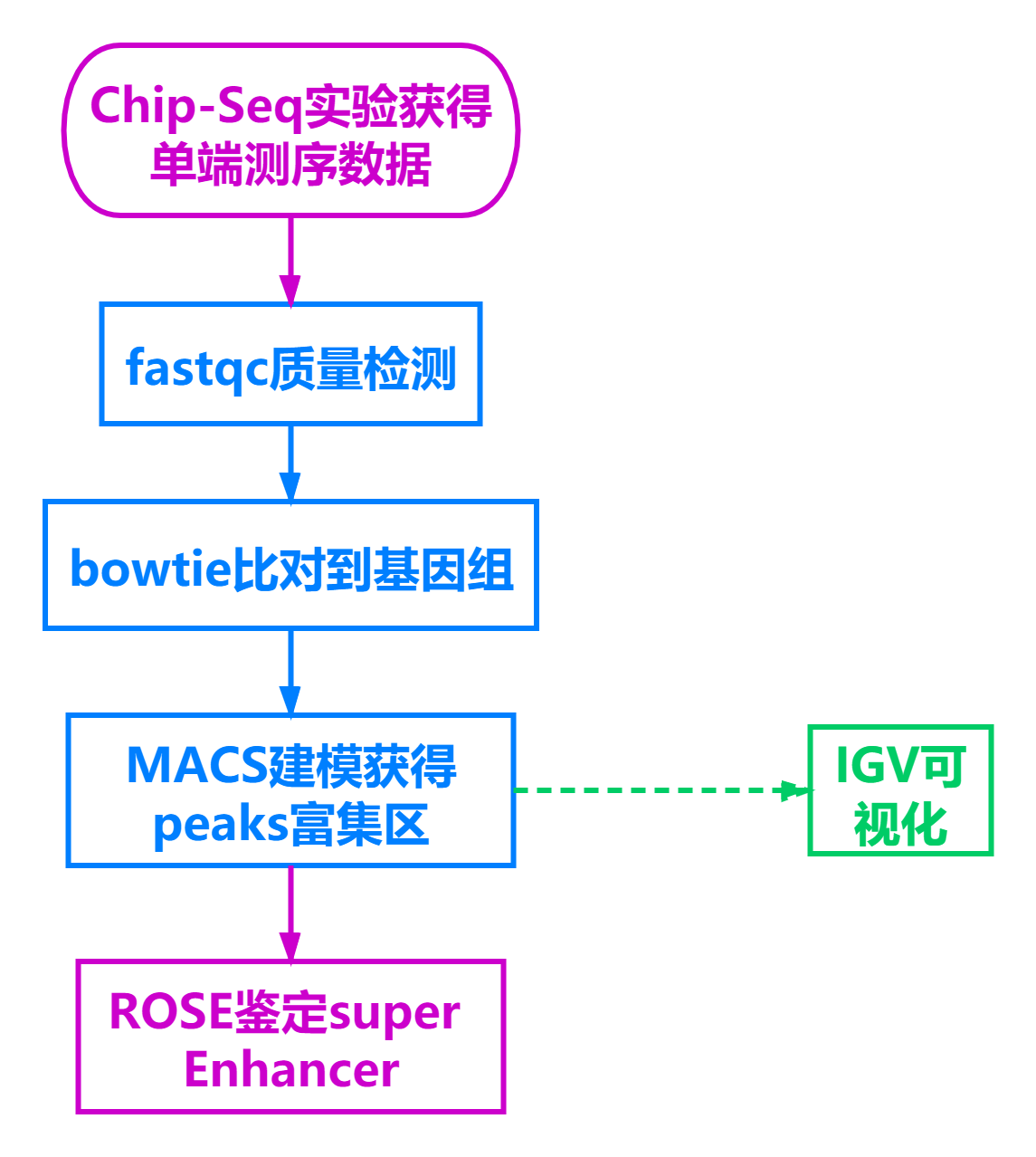 Chip-seq流程报告_chip-seq报告-CSDN博客