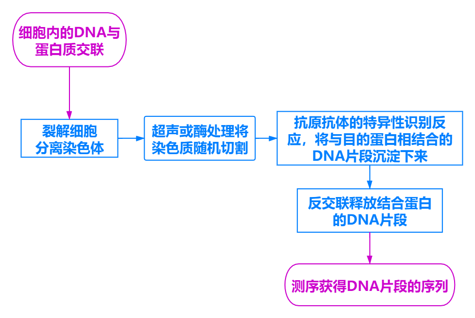Chip-seq流程报告_chip-seq报告-CSDN博客