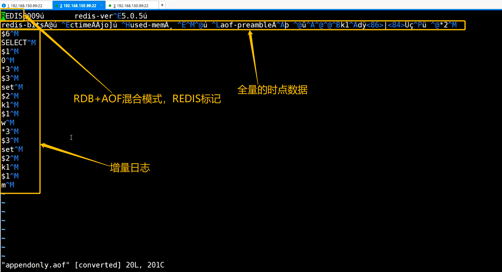 Redis实战（五）：Redis的持久化RDB、fork、copyonwrite、AOF、RDB&AOF混合使用_rdb fork-CSDN博客