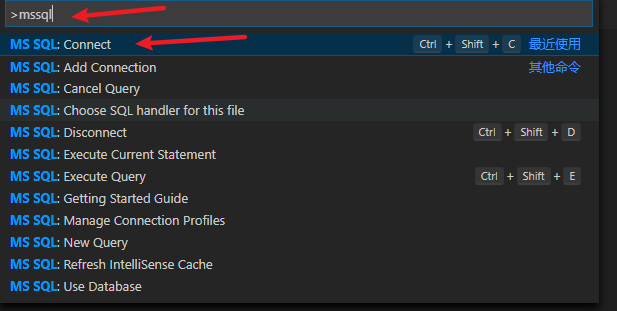 VScode利用插件mssql连接SQLServer数据库_mssql.addobjectexplorer-CSDN博客