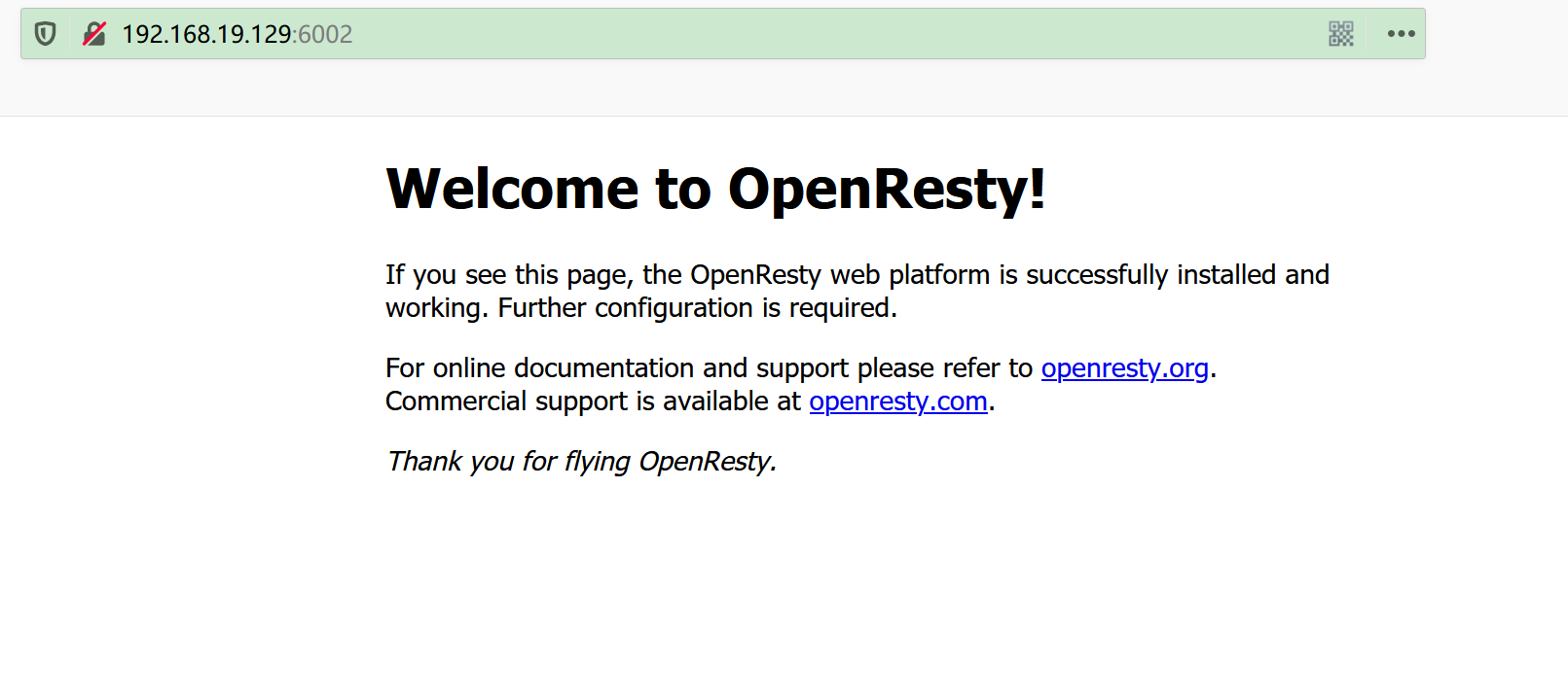 Docker 部署 OpenResty_docker 部署openresty-CSDN博客