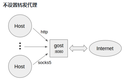 【gost】搭建正向代理及配置_gost代理怎么使用-CSDN博客
