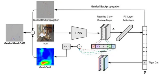 【原理】CAM(类激活映射)模型可视化_残差网络resnet50中的cam-CSDN博客