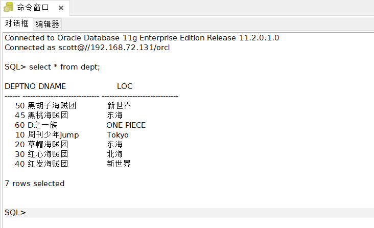 【Tools】PLSQL Developer13.0.4注册和使用教程_plsql developer教程-CSDN博客