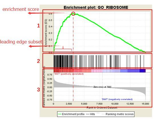 GSEA原理的通俗易懂的理解-CSDN博客