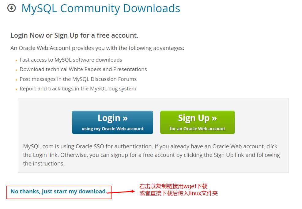linux上mysql的安装与配置，超全_linux mysql配置文件-CSDN博客